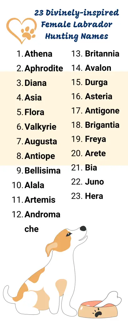 120 Unique Female Labrador Names Hunting Dogs Would Wear Proudly