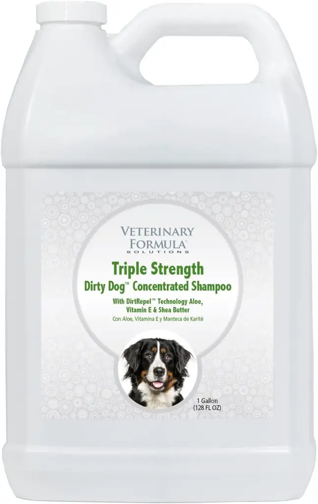 The best labrador shampoo: top-8 products for your dog