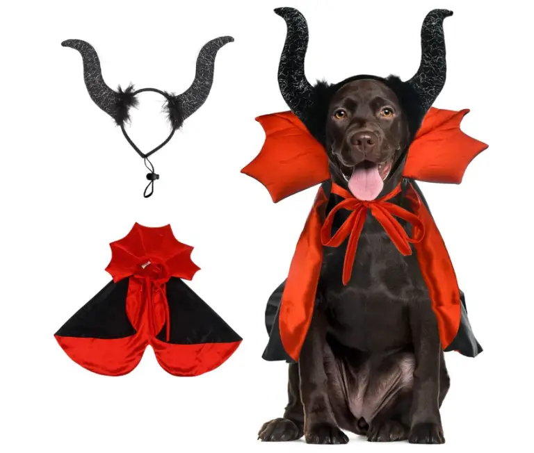 Halloween Costumes for Labradors! Best Ideas and Options!
