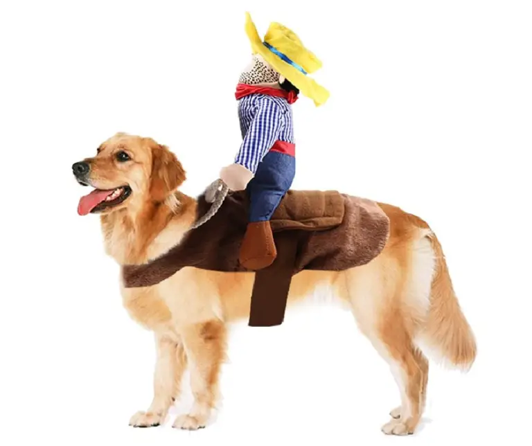 Halloween Costumes for Labradors! Best Ideas and Options!