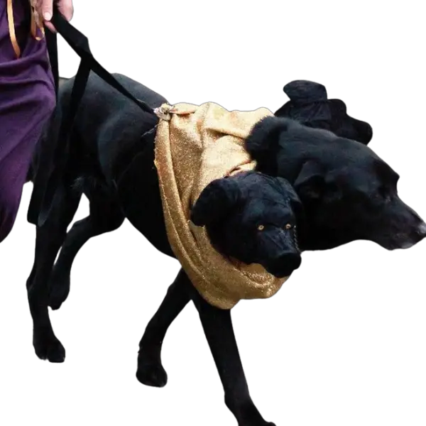 Halloween Costumes for Labradors! Best Ideas and Options!